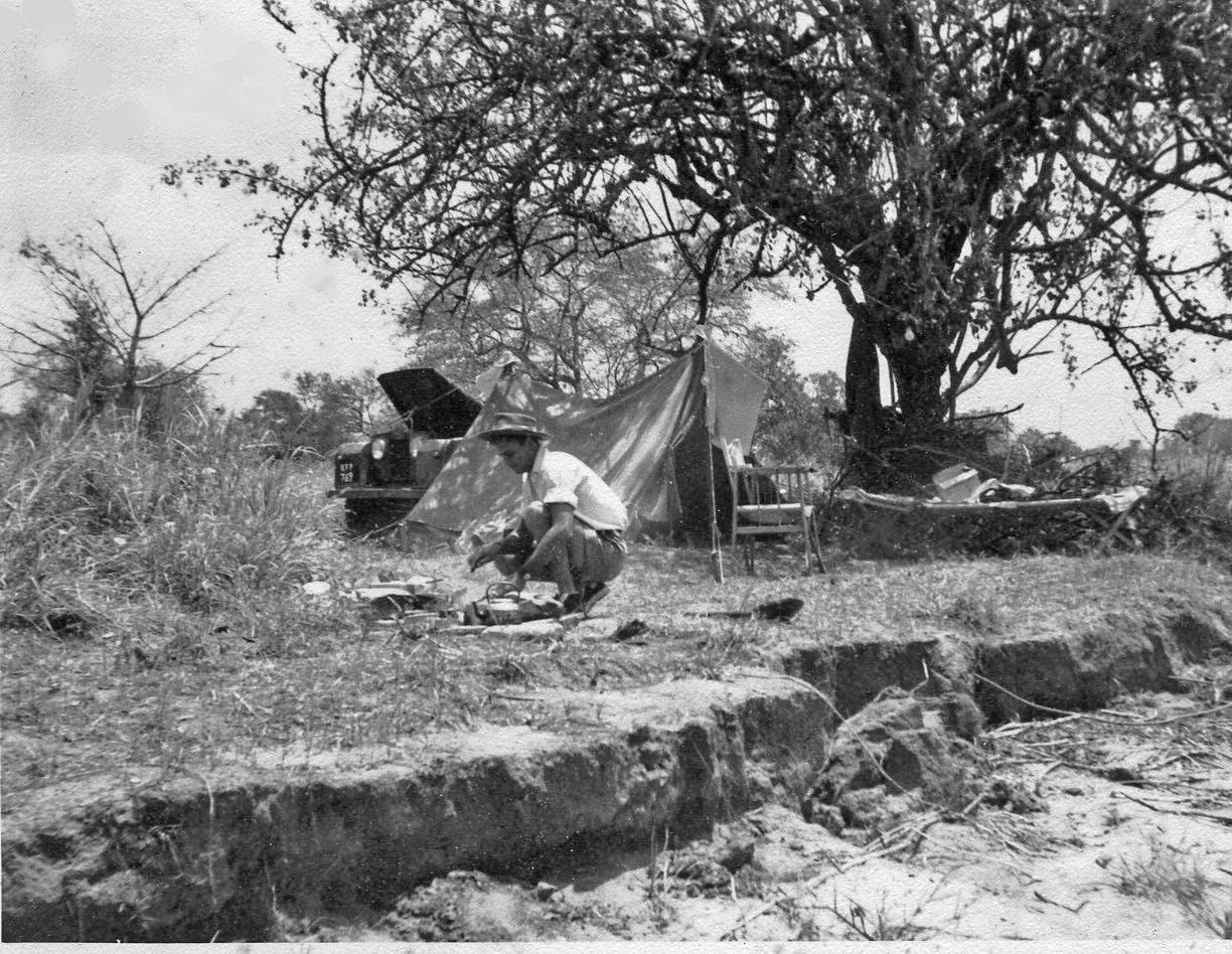 Life among the lions of Athi Tiva – Lyrebird Mountain